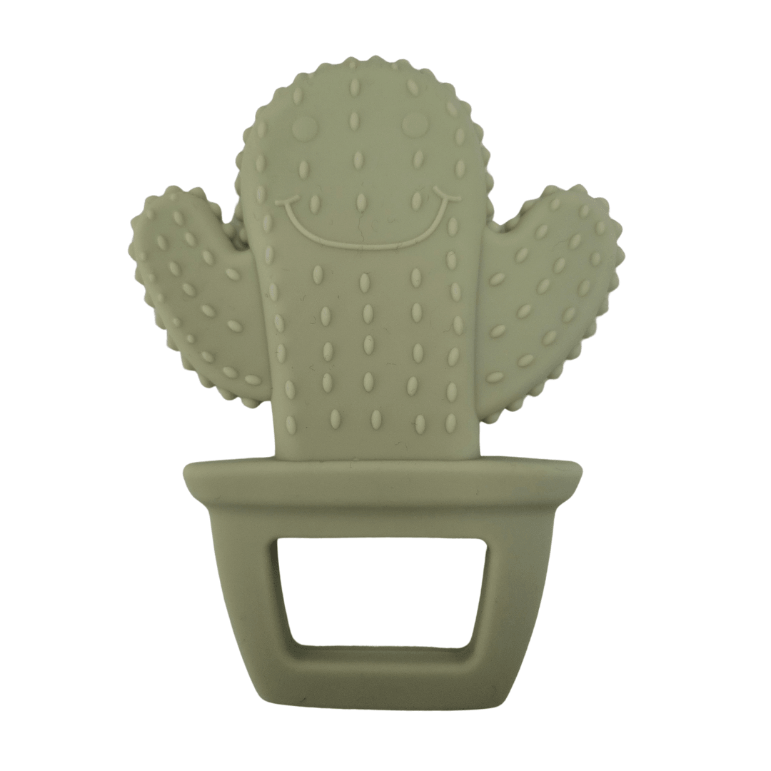 Cactus Silicone Teether – The Teething Co