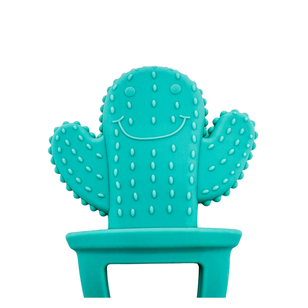 Cactus Silicone Teether – The Teething Co